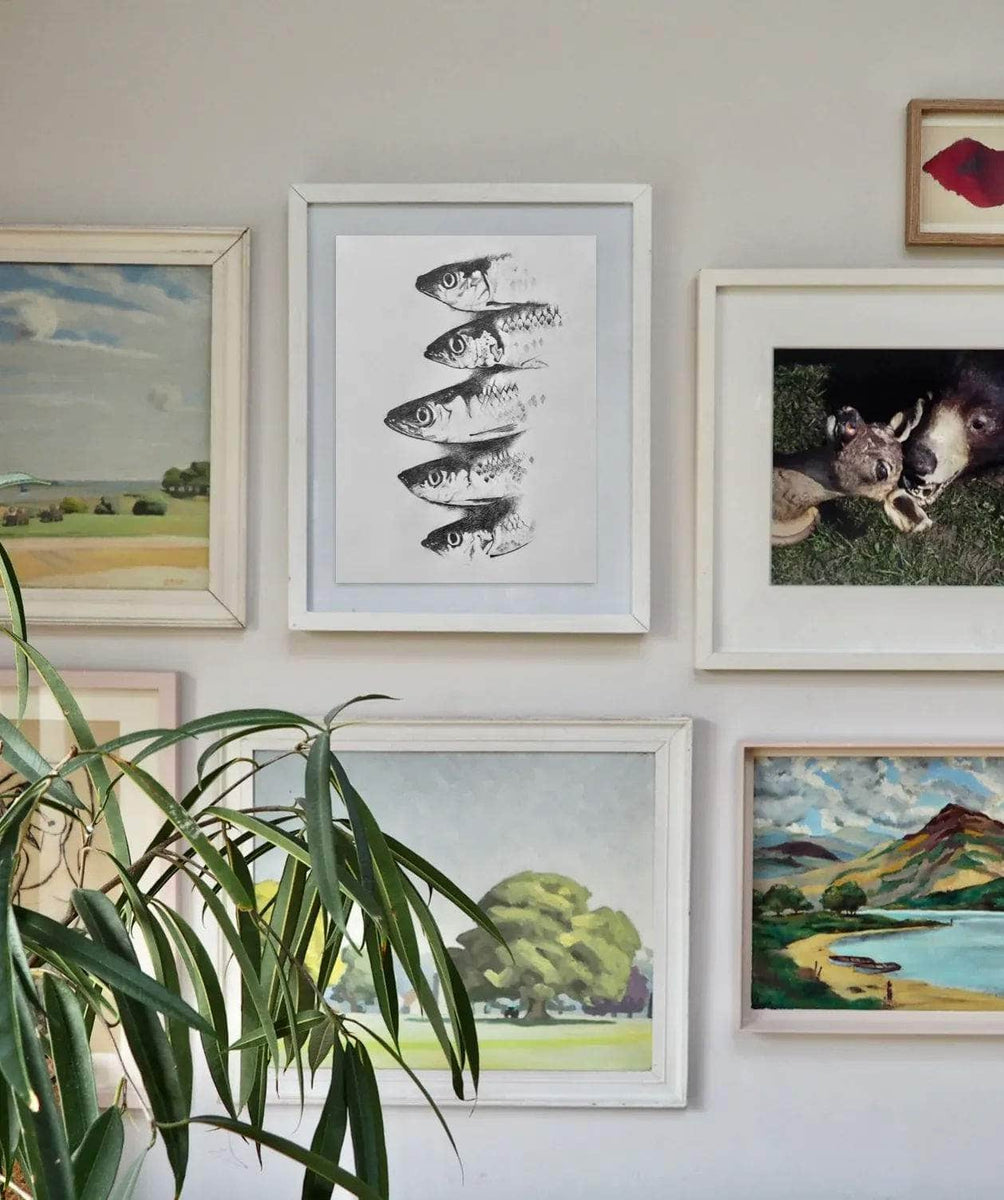 Fish Pencil Drawing | Maison Flâneur