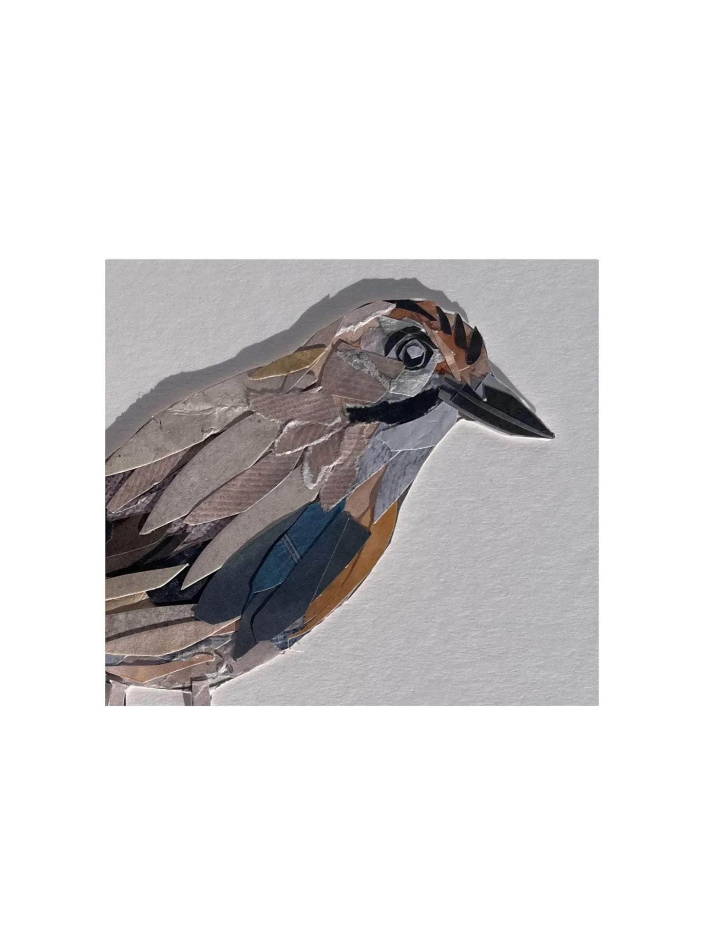 Original Blue Jay Bird Collage Art Piece | Maison Flâneur